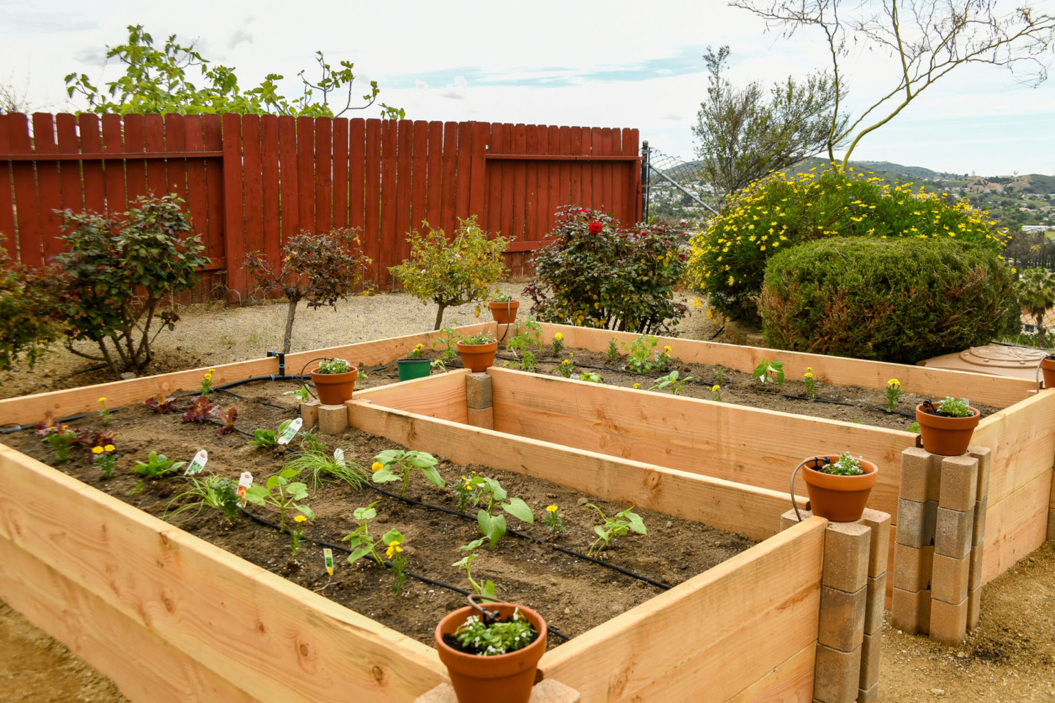 Gardena Online Tool zur Bewässerungsplanung - Gartenbewässerungs ...